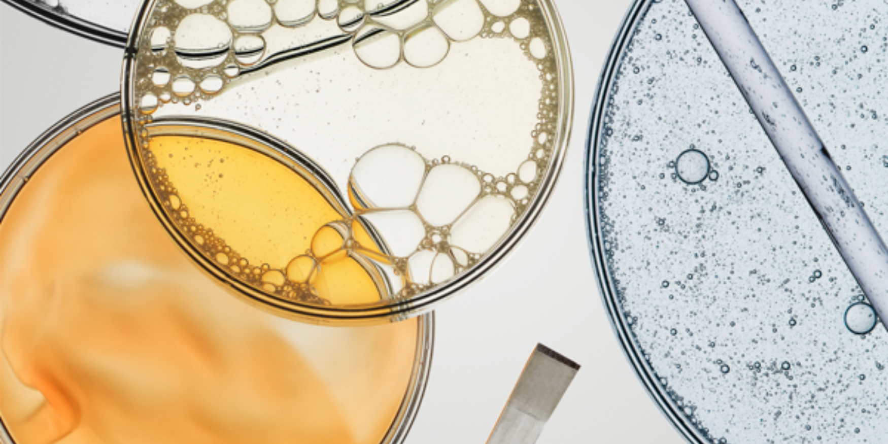 The Differences Between Each Spot and the Science Behind it – Margifox ...